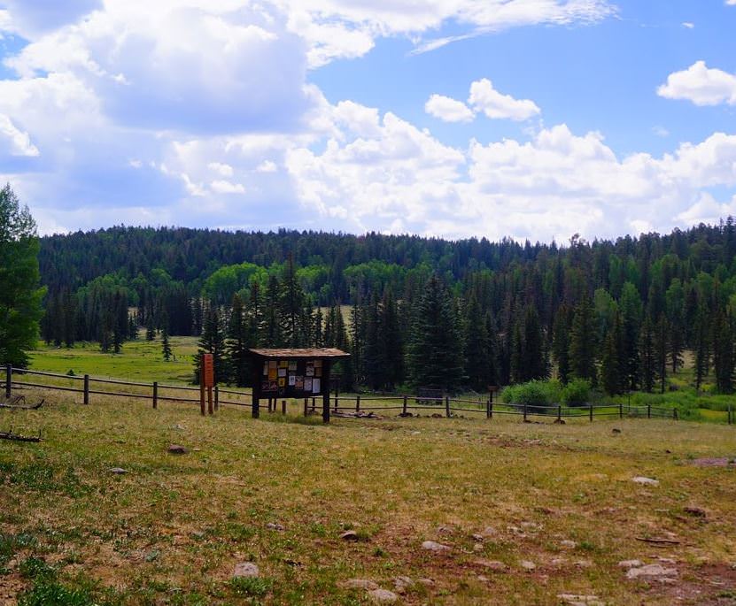 AZ Camp Guide | Gabaldon Horse Camp
