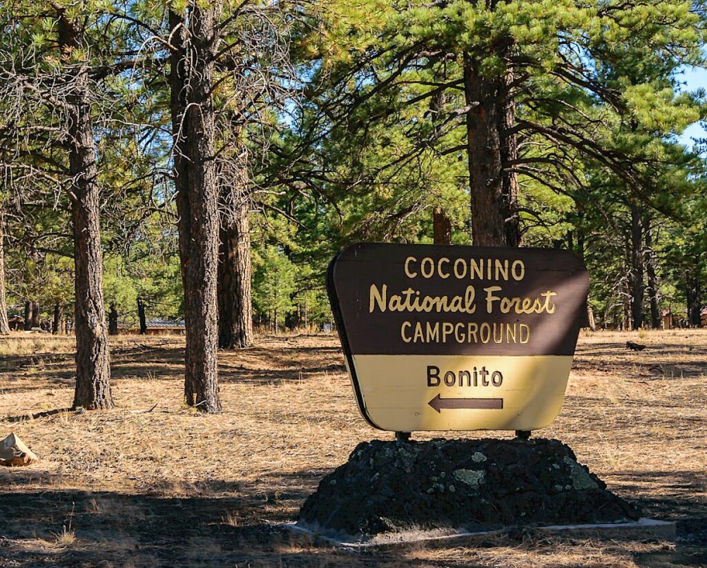 Coconino National Forest Camping