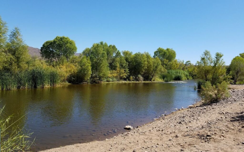 AZ Camp Guide | Box Bar Shoreline Area