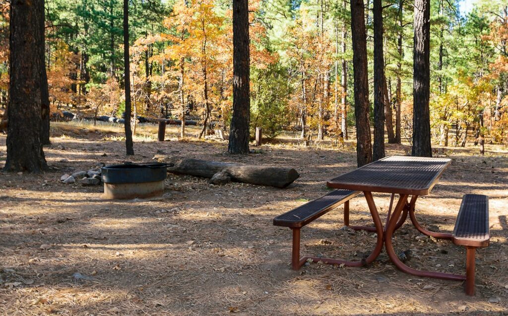 AZ Camp Guide | Double Springs Campground