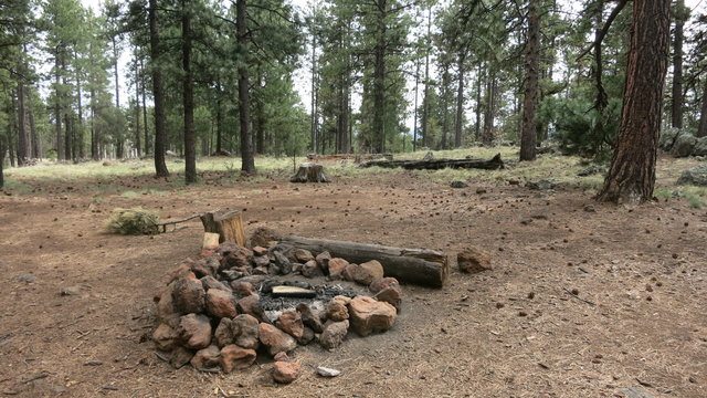 AZ Camp Guide | Freidlein Prairie Dispersed Camping