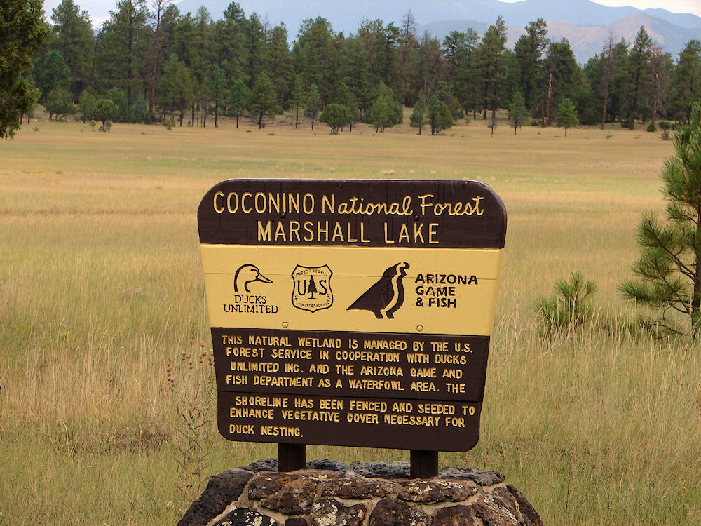 AZ Camp Guide | Marshall Lake