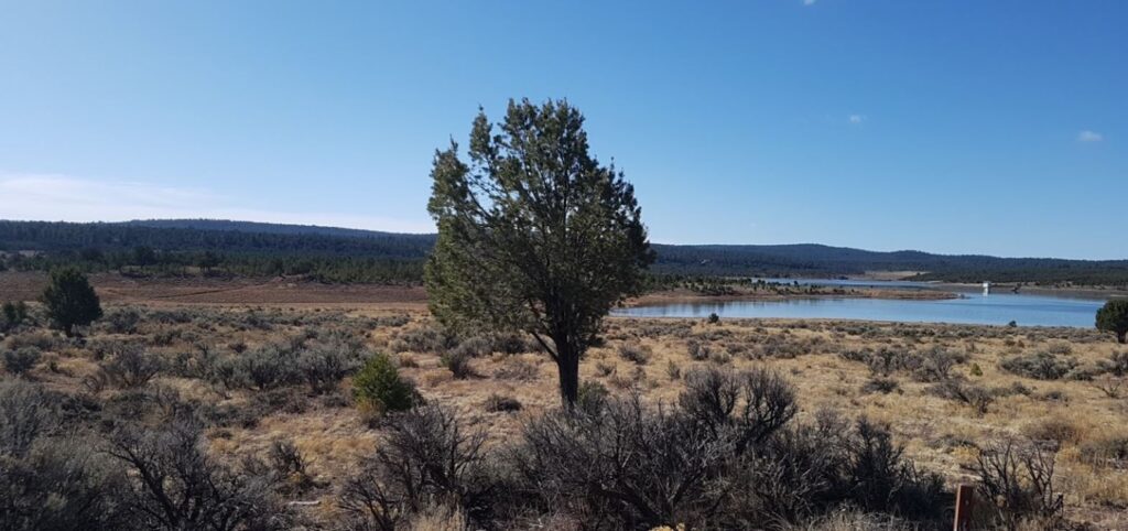 AZ Camp Guide | Tsaile Lake Camping Area